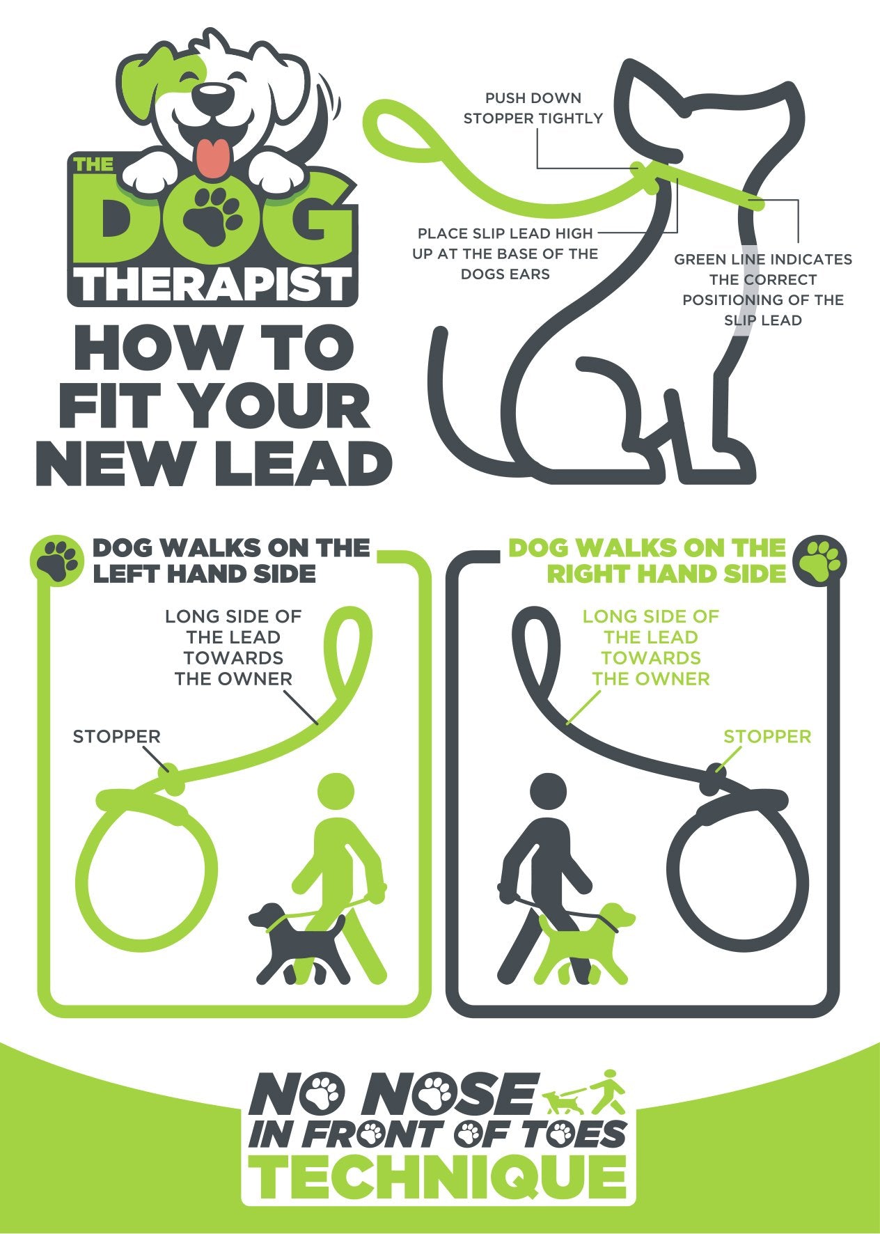 The Adjuster Dog Lead – The Dog Therapist