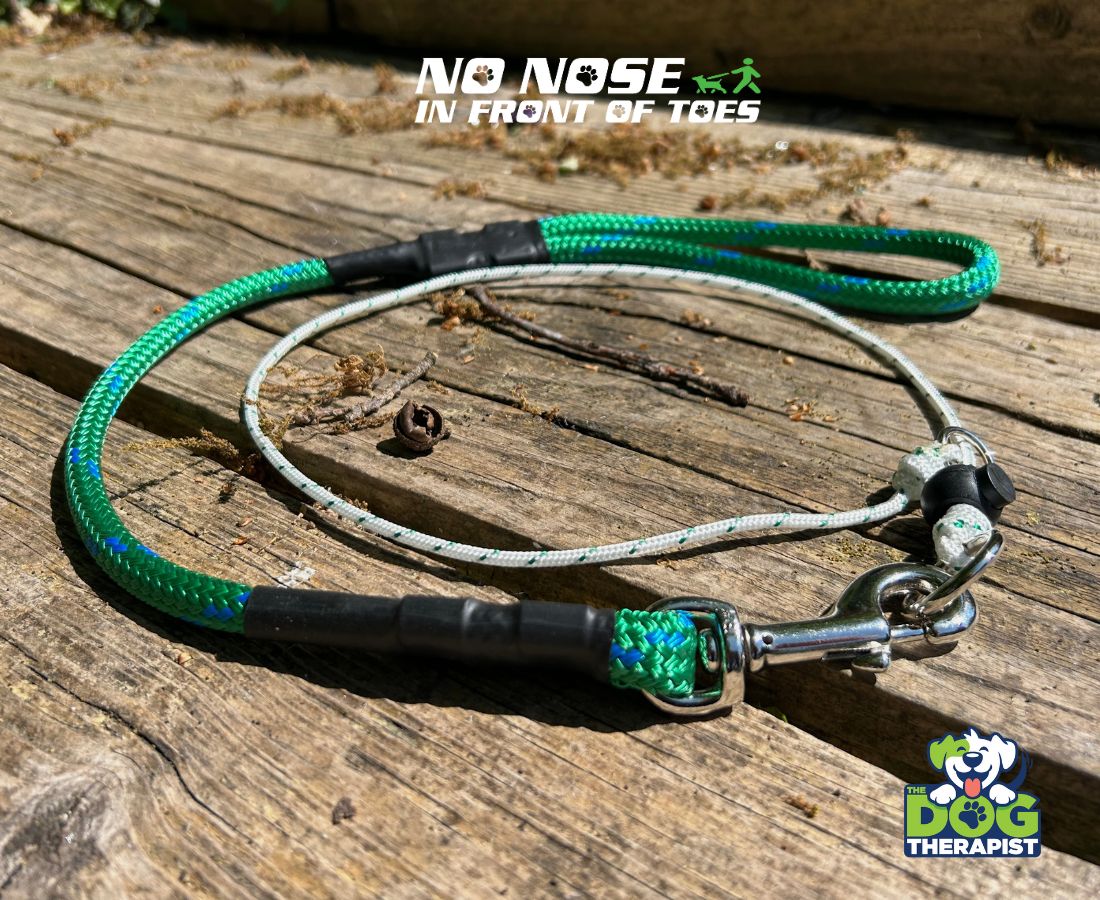 The Adjuster Dog Lead – The Dog Therapist