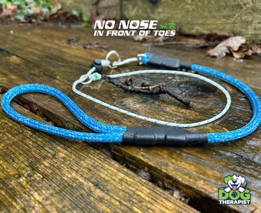 The Adjuster Dog Lead – The Dog Therapist