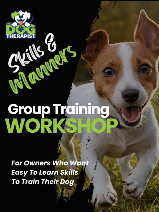 Skills And Manners Group Dog Training Workshop – The Dog Therapist